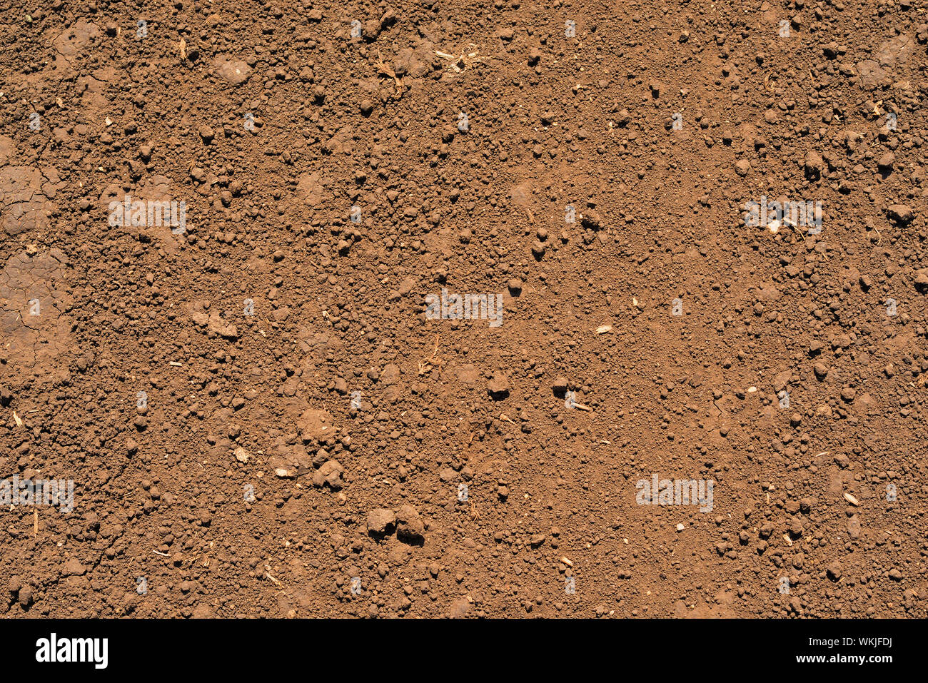 Brown ground surface. Close up natural background Stock Photo - Alamy