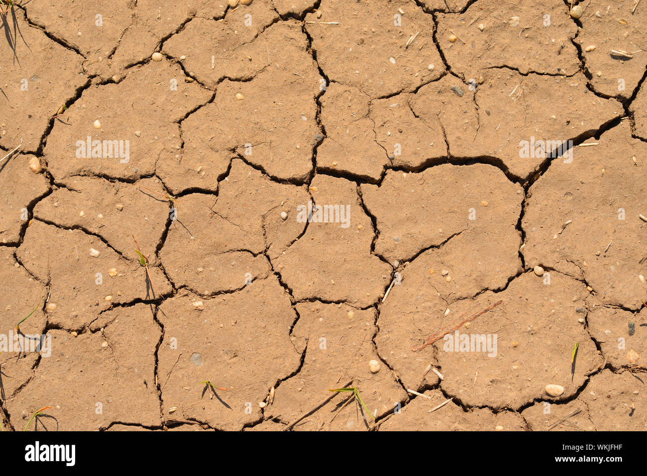 Cracked brown ground surface. Close up natural background Stock Photo ...