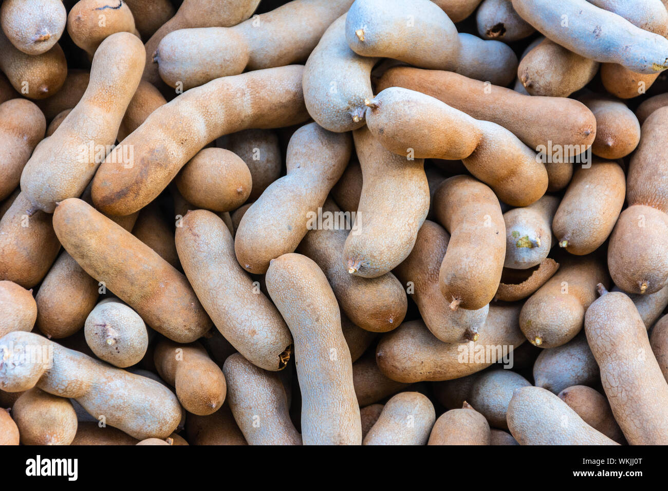 Raw tamarind fruits hi-res stock photography and images - Alamy