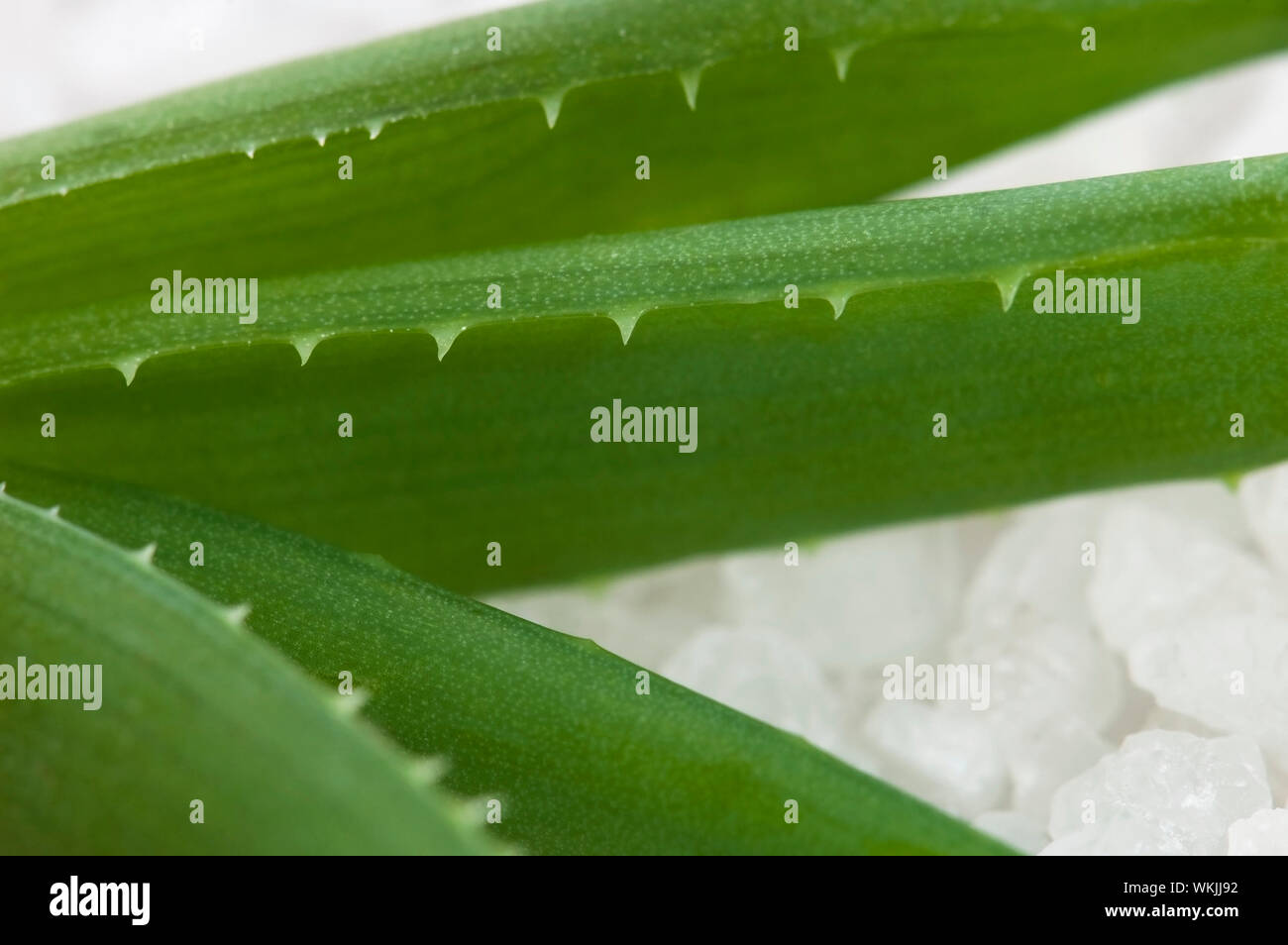 Salt application hi-res stock photography and images - Alamy