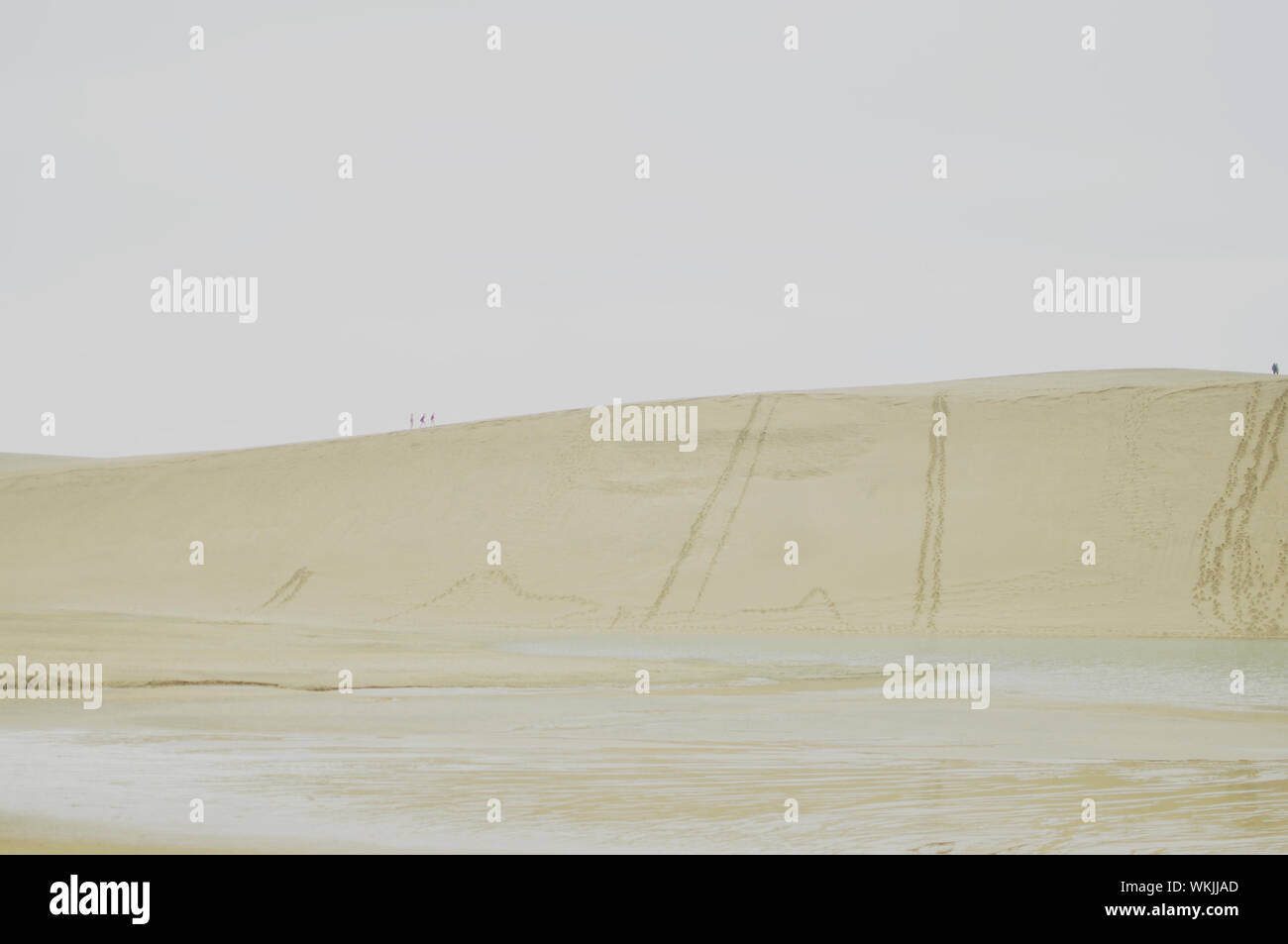 Walking through desert hi-res stock photography and images - Alamy