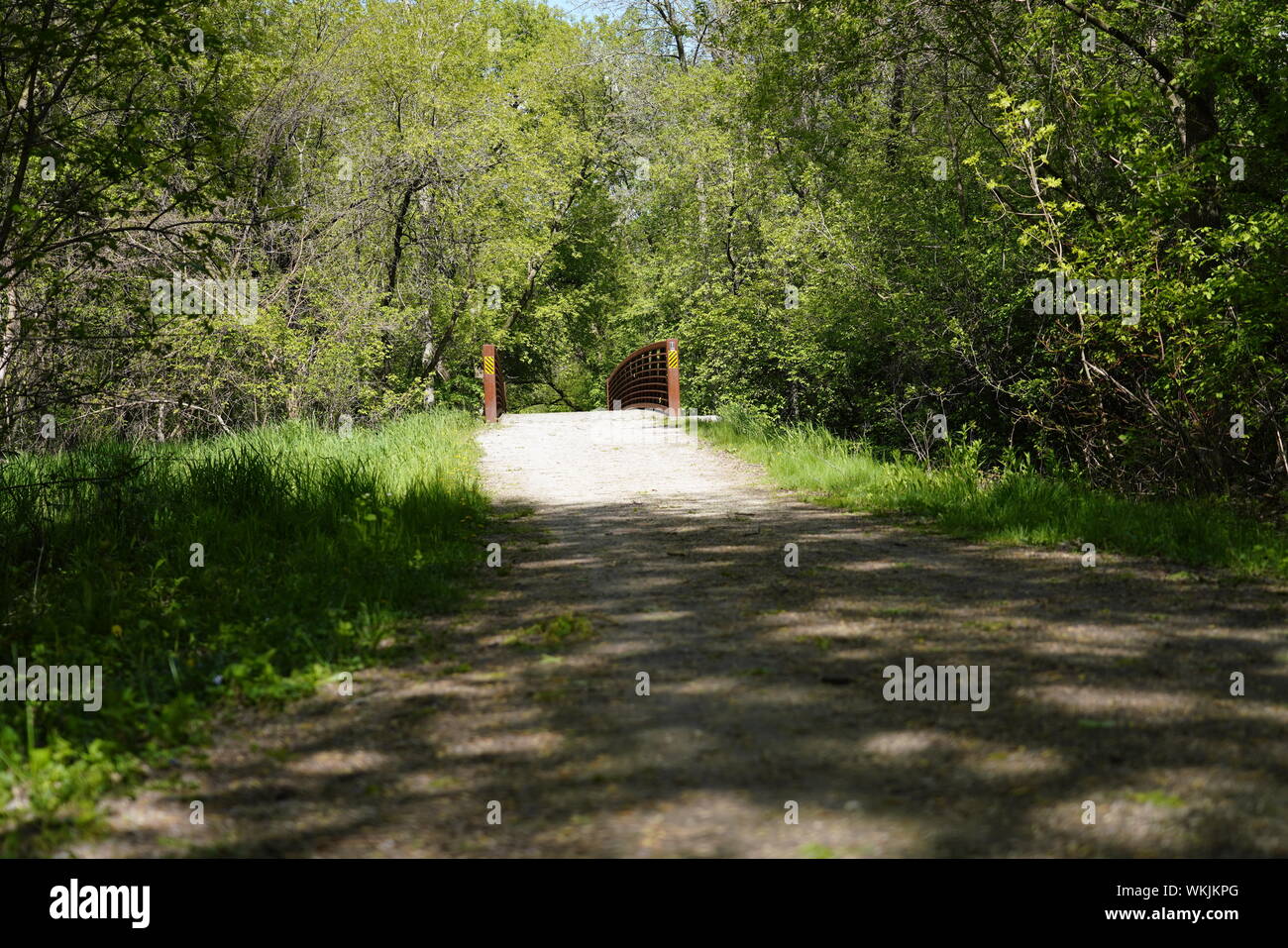 bridge, path, walk, nature, park, wood, travel, water, wooden, green ...