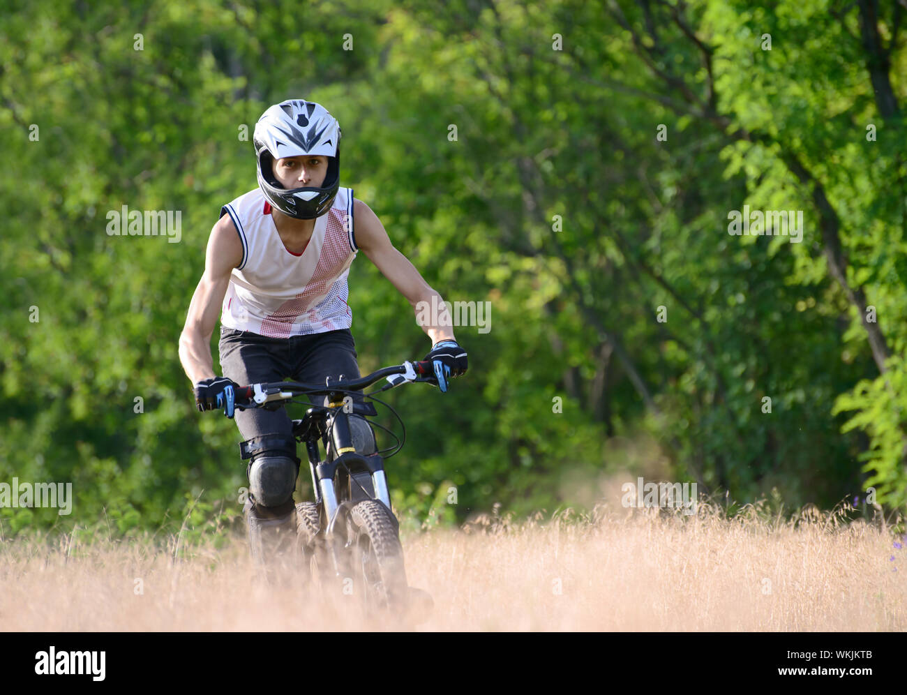 Cyclist Riding the Bike on the Trail in the Beautiful Summer Forest ...