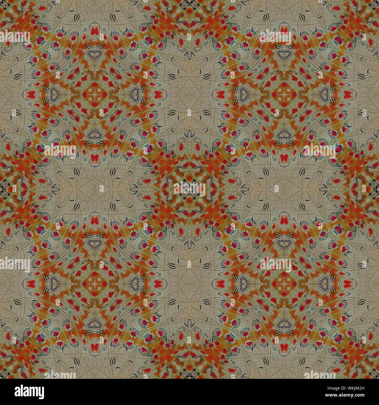 Seamless pattern made from butterfly wing texture background Stock ...