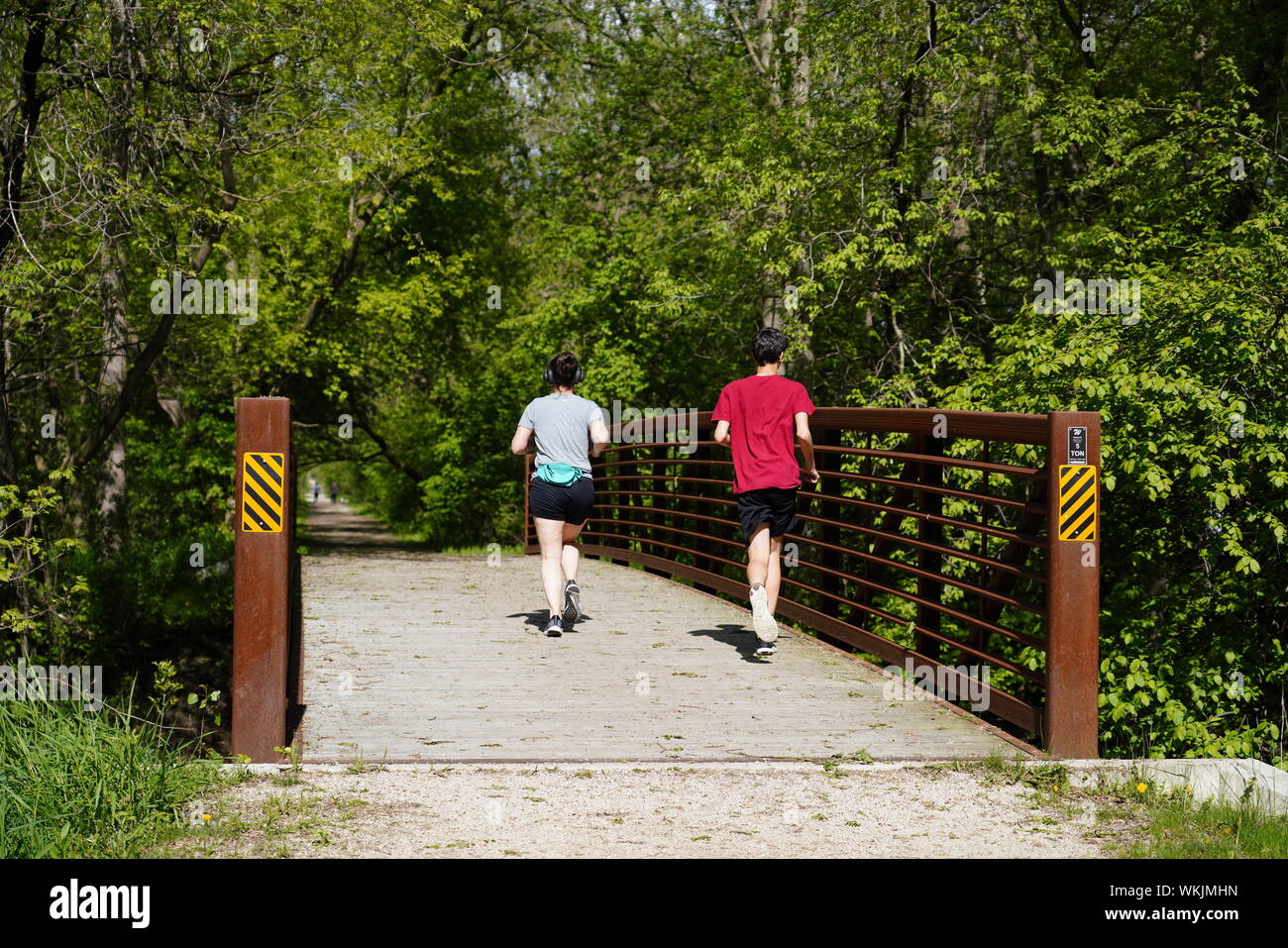 bridge, path, walk, nature, park, wood, travel, water, wooden, green ...