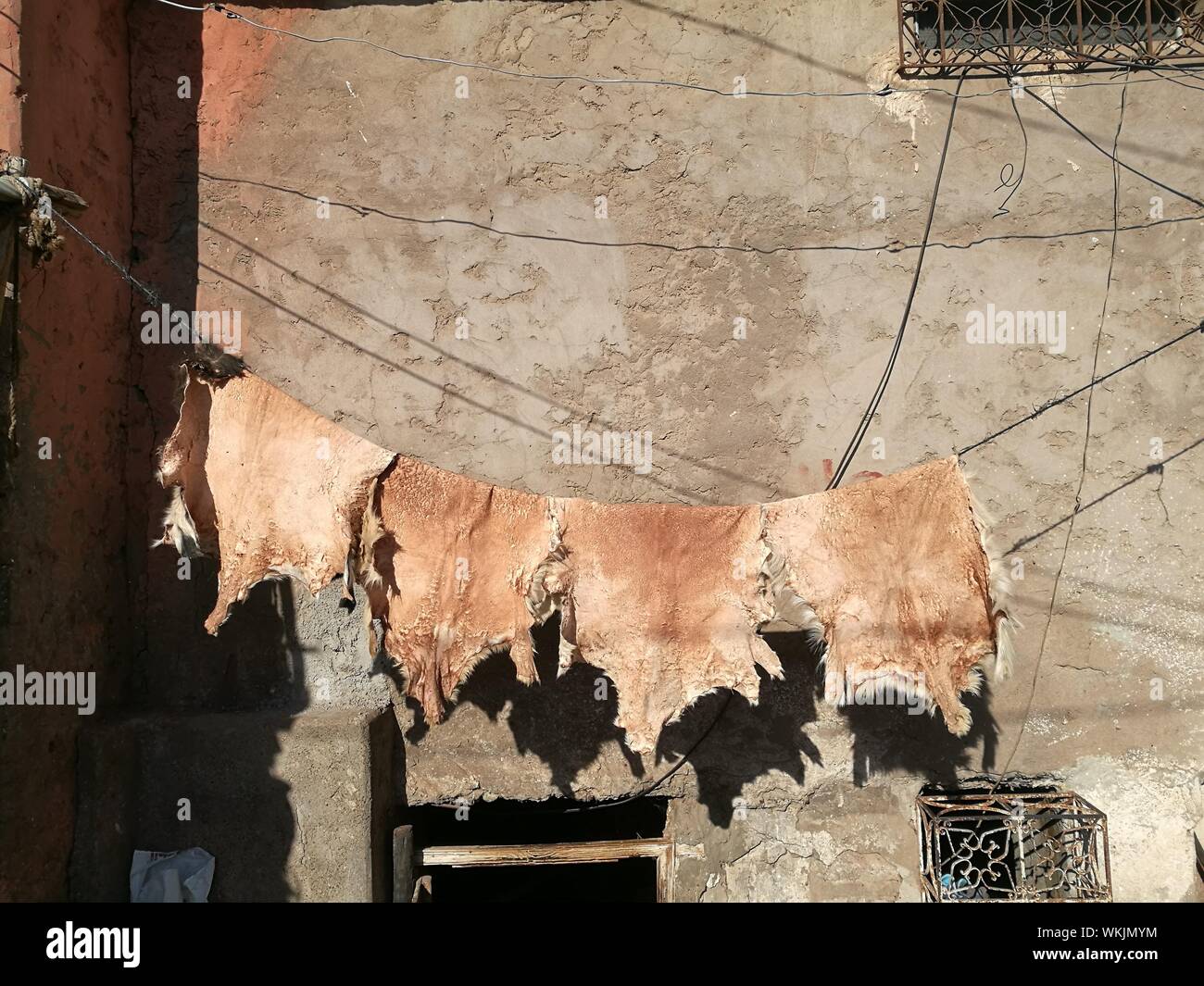 Hanging animal skins hi-res stock photography and images - Alamy