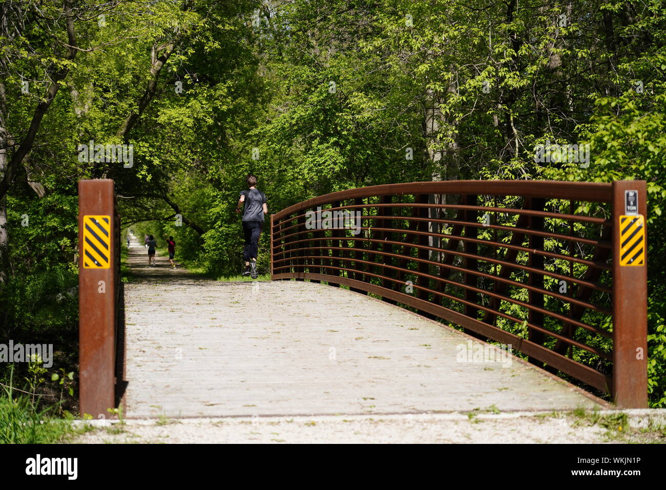 bridge, path, walk, nature, park, wood, travel, water, wooden, green ...