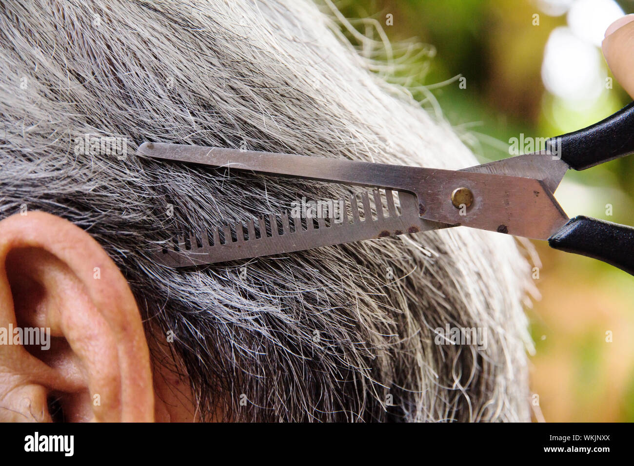 cut the hair Stock Photo - Alamy