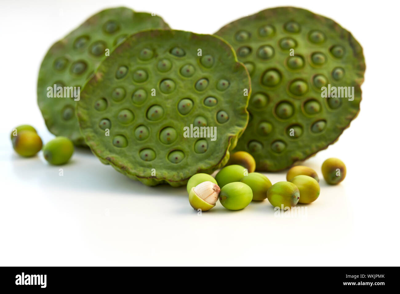 White lotus seed hi-res stock photography and images - Alamy