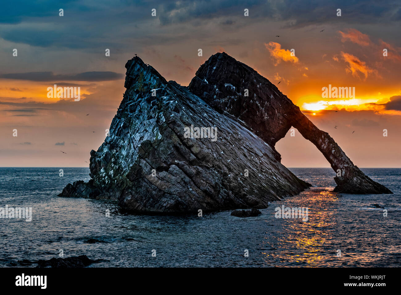 BOW FIDDLE ROCK PORTKNOCKIE MORAY SCOTLAND EARLY COLOURFUL SUMMER ...