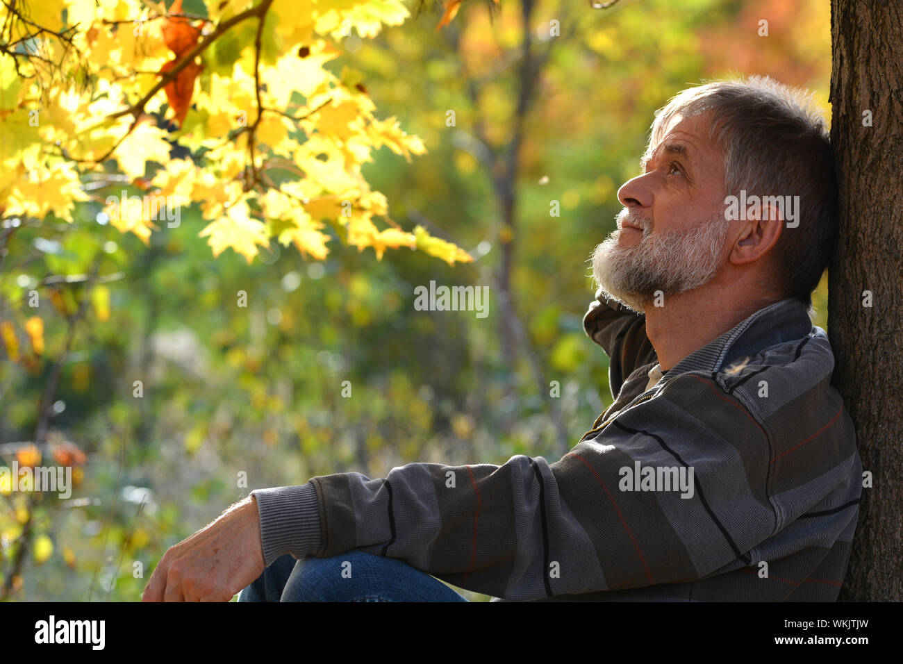 Languid hi-res stock photography and images - Alamy