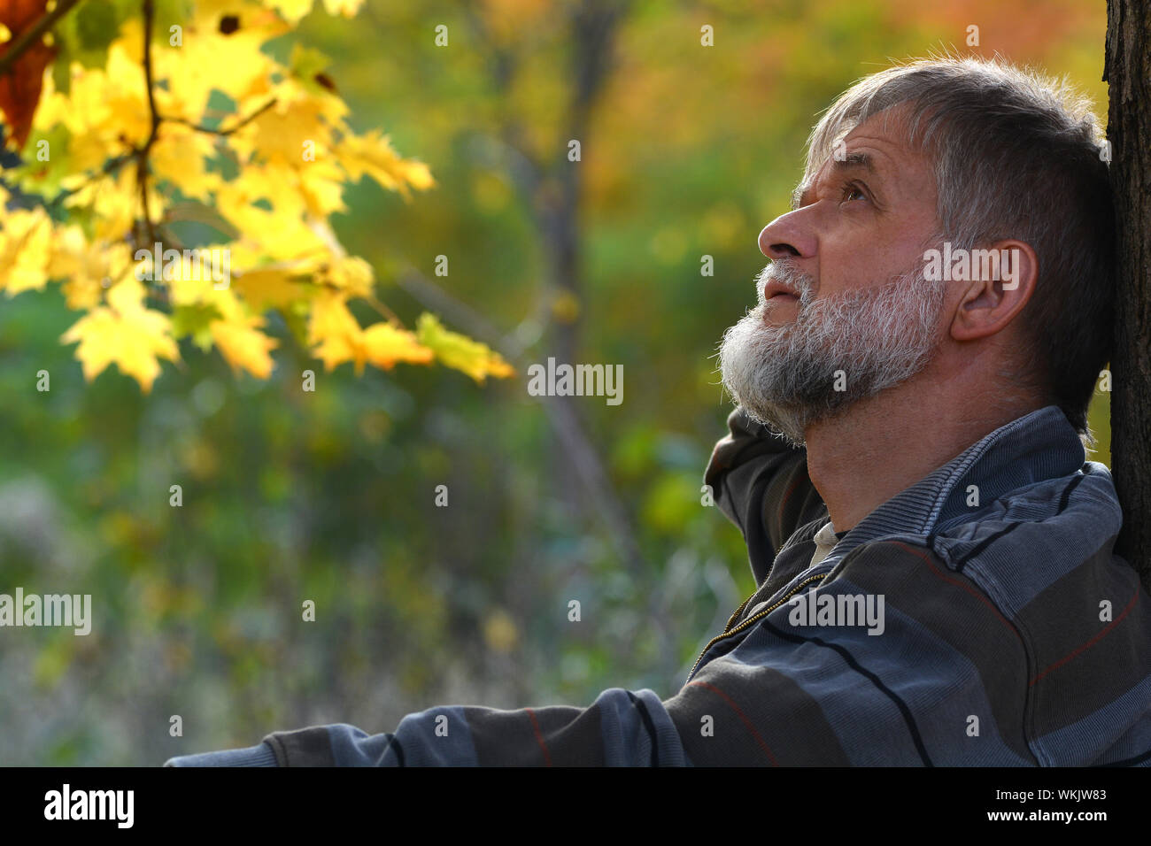 Senior sad man is sitting under a tree Stock Photo - Alamy