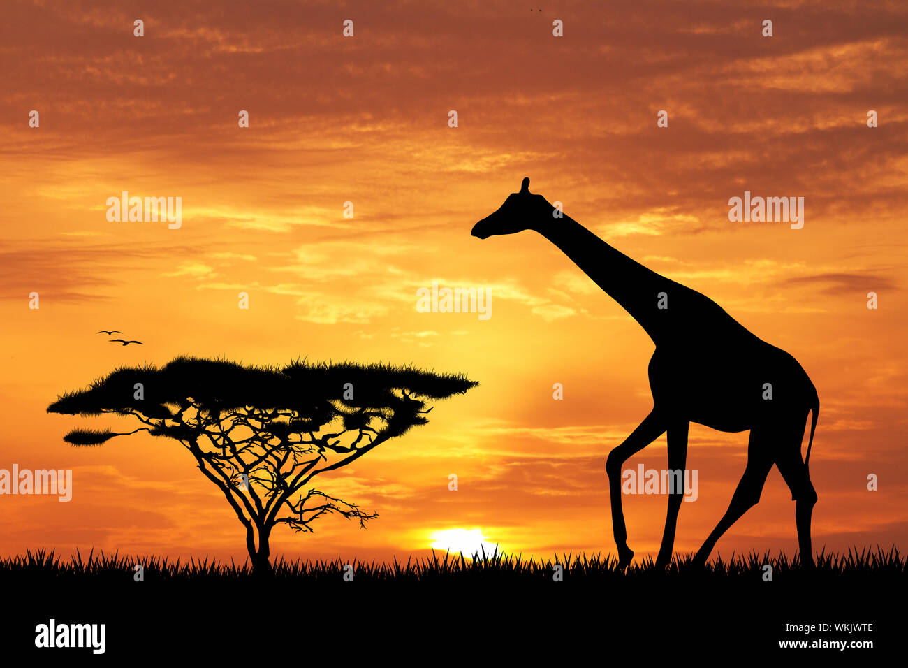 Giraffe Sunset Silhouette
