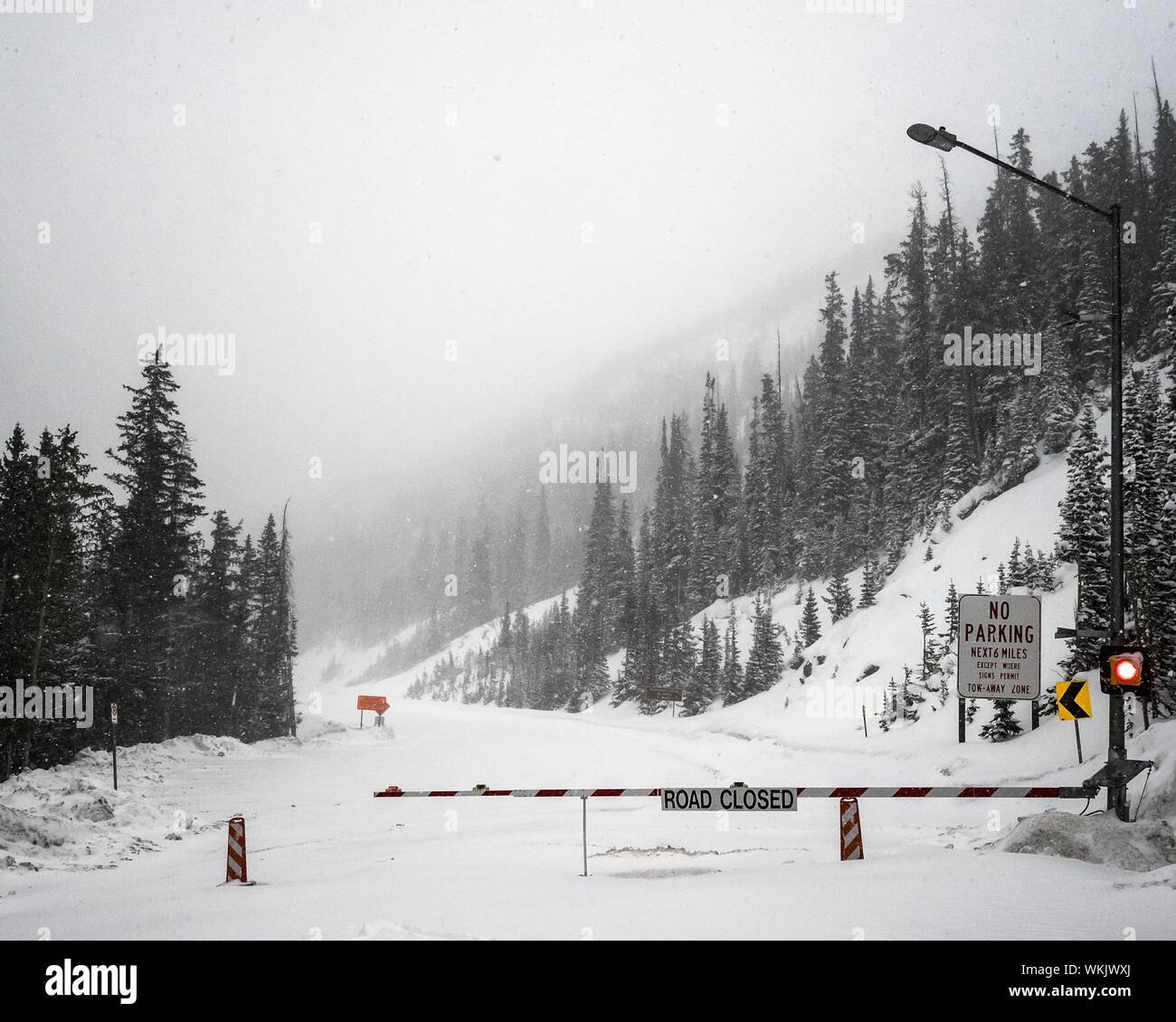 Tree covering sign hi-res stock photography and images - Alamy