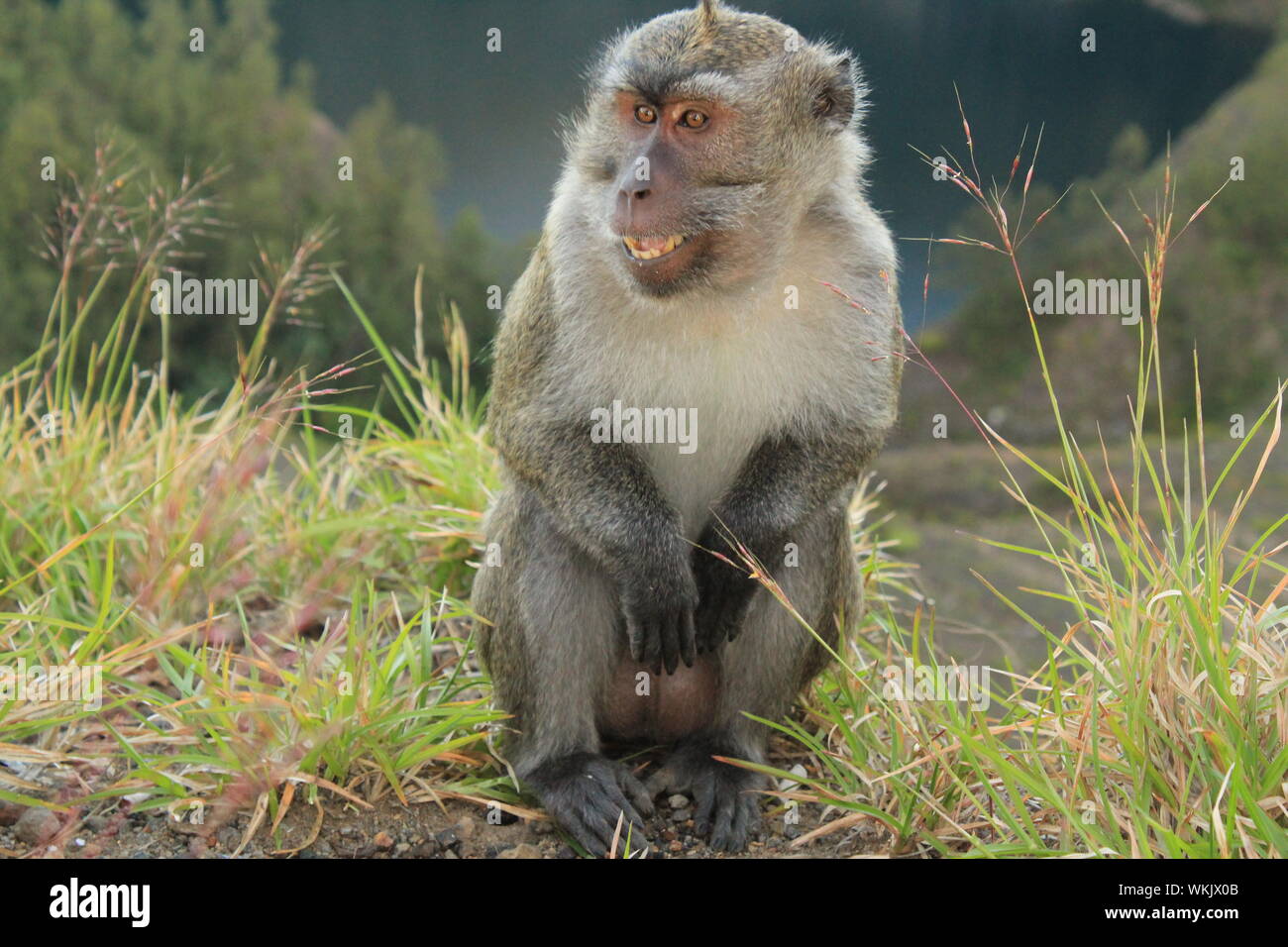 Natural_environment hi-res stock photography and images - Alamy