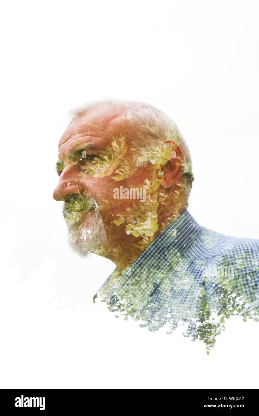 Double exposure man tree hi-res stock photography and images - Alamy