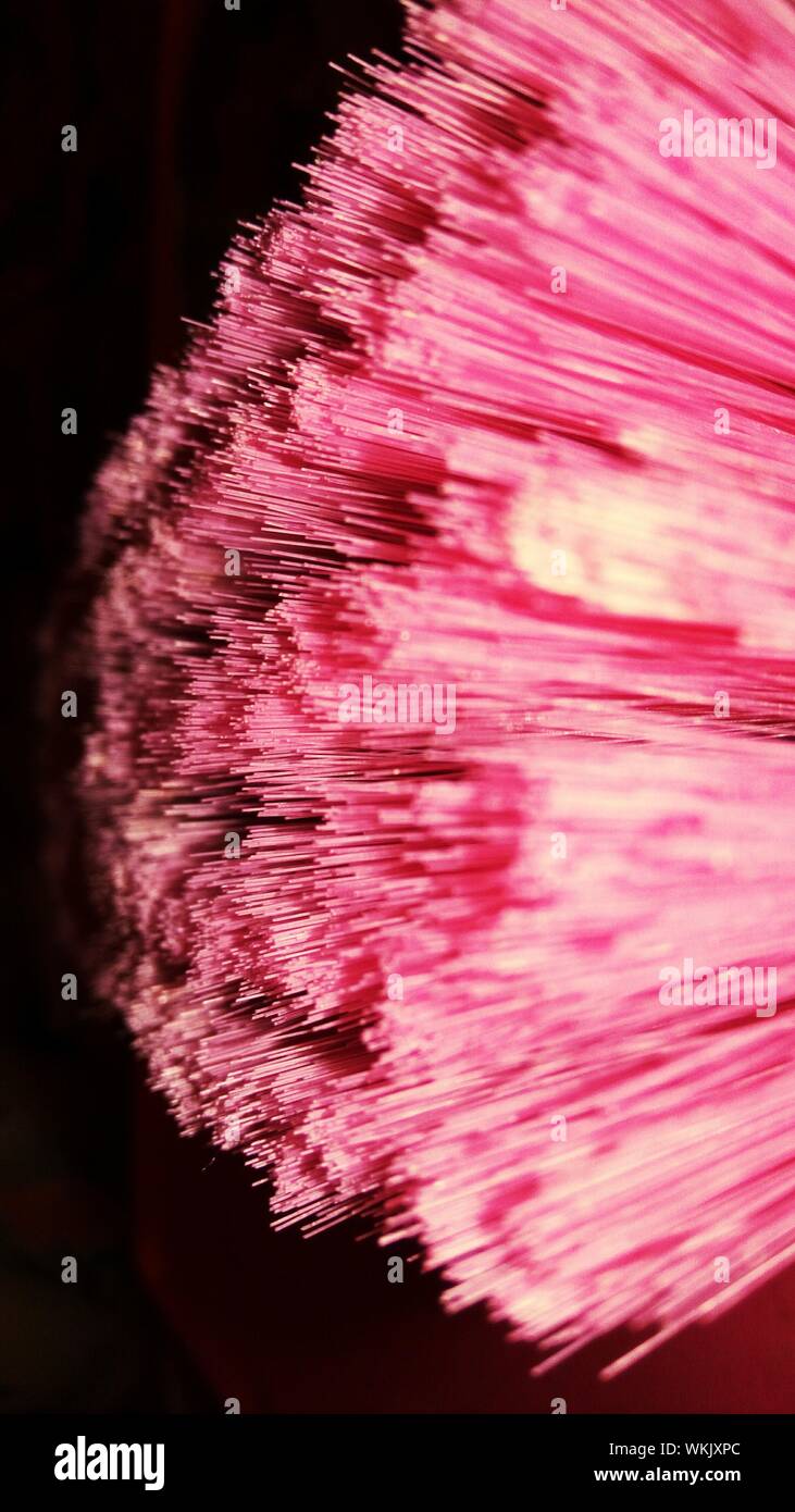 Bristles macro hi-res stock photography and images - Alamy