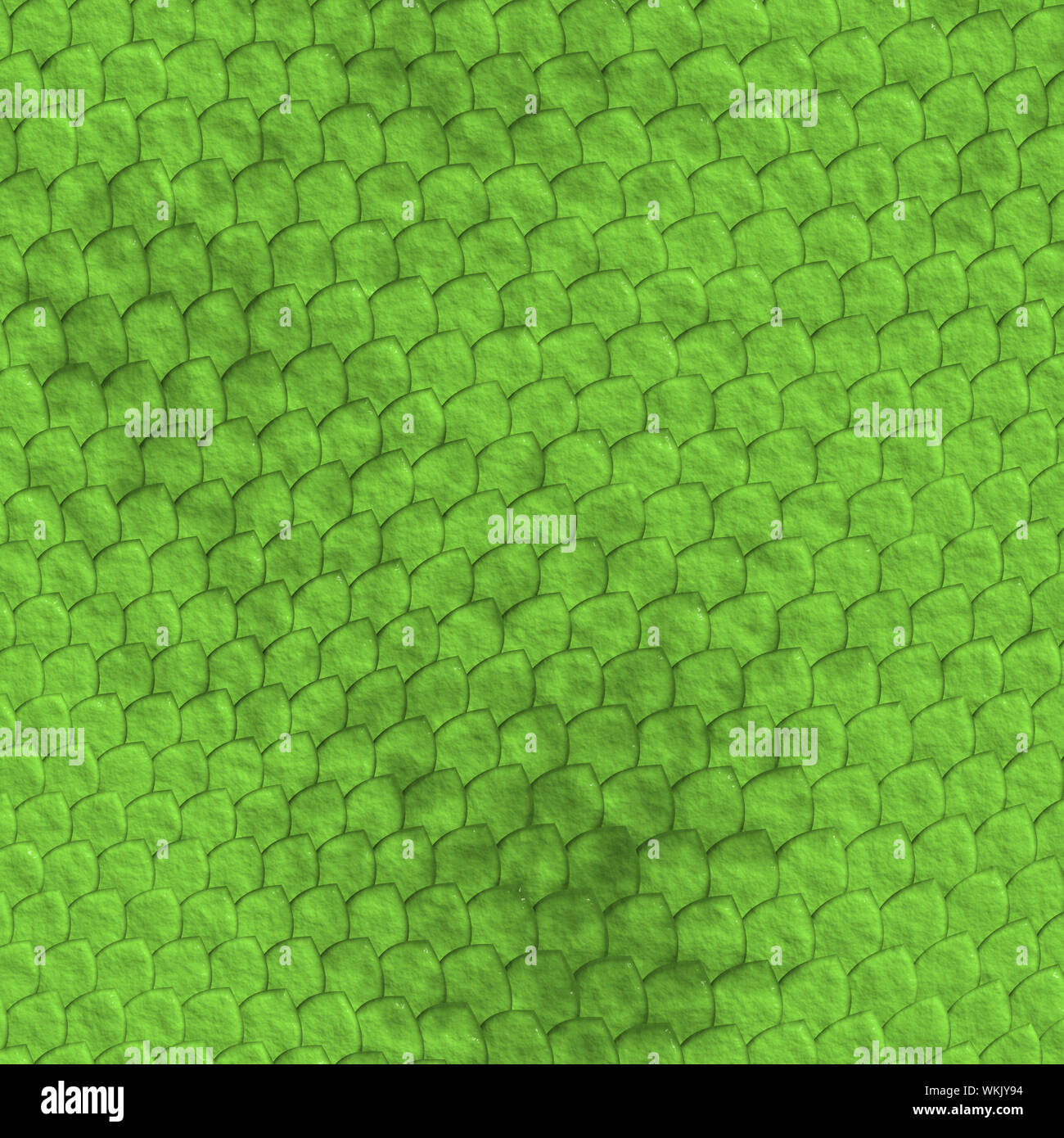 Reptile skin texture background abstract for design and decorate Stock ...