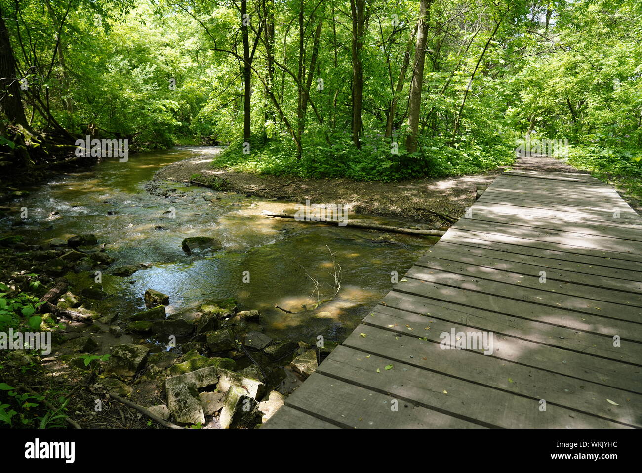 forest, trail, nature, landscape, green, tree, travel, mountain, park ...