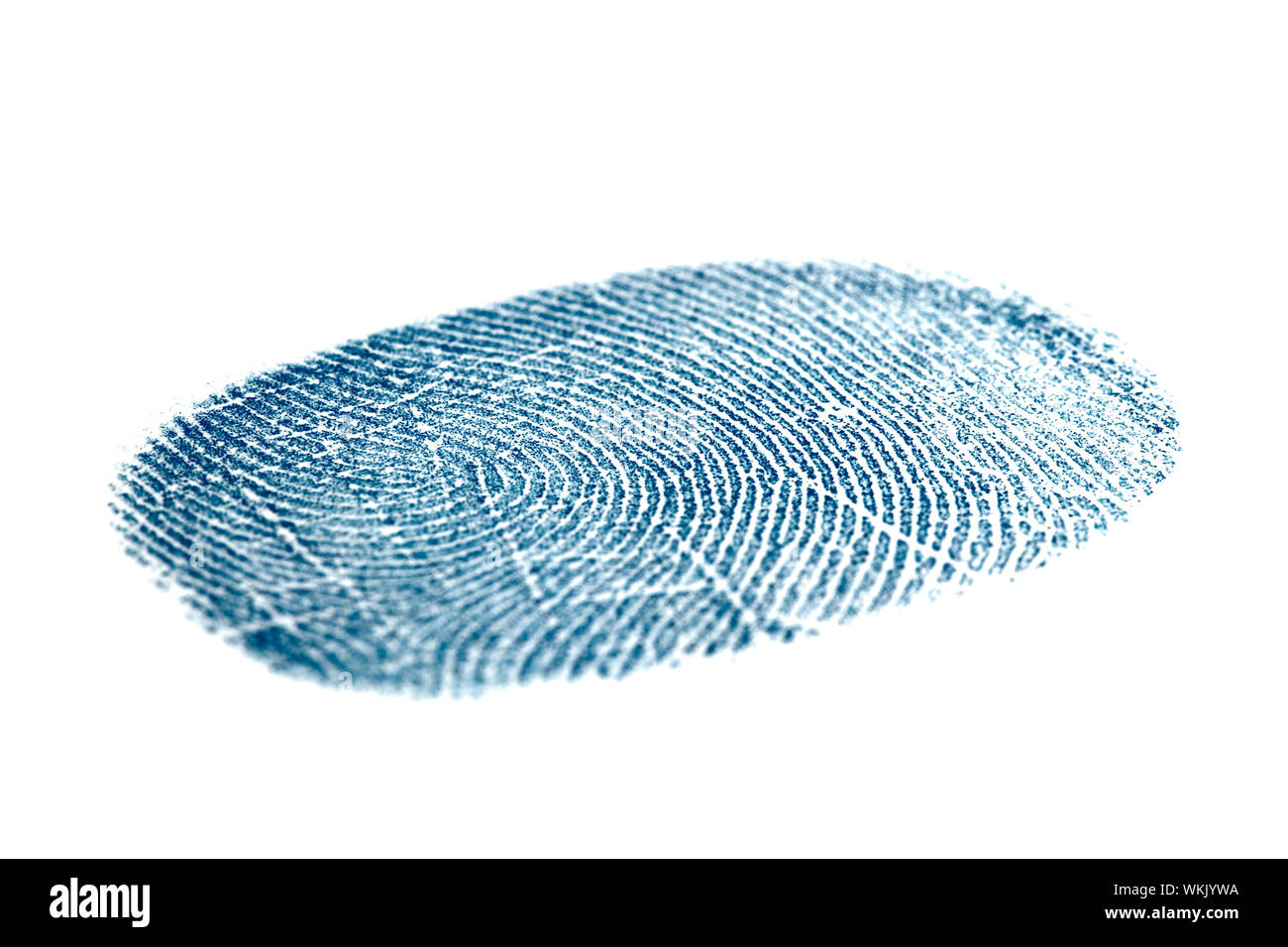 Blue fingerprint isolated on a white background Stock Photo - Alamy