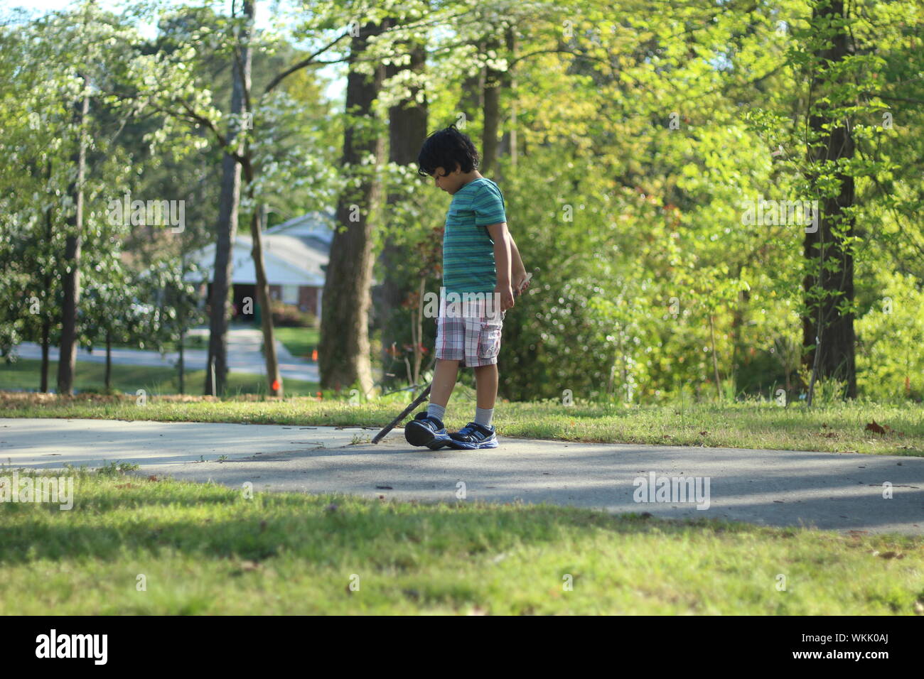 Side stick hi-res stock photography and images - Alamy