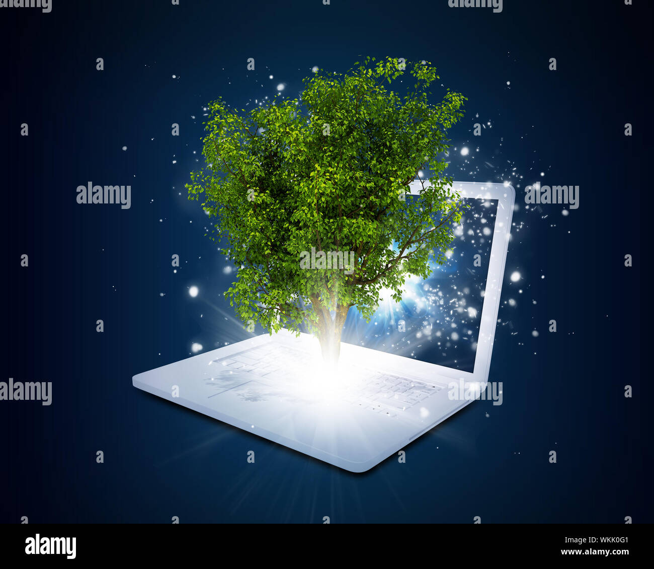 Laptop with magical green tree and rays of light on dark background ...