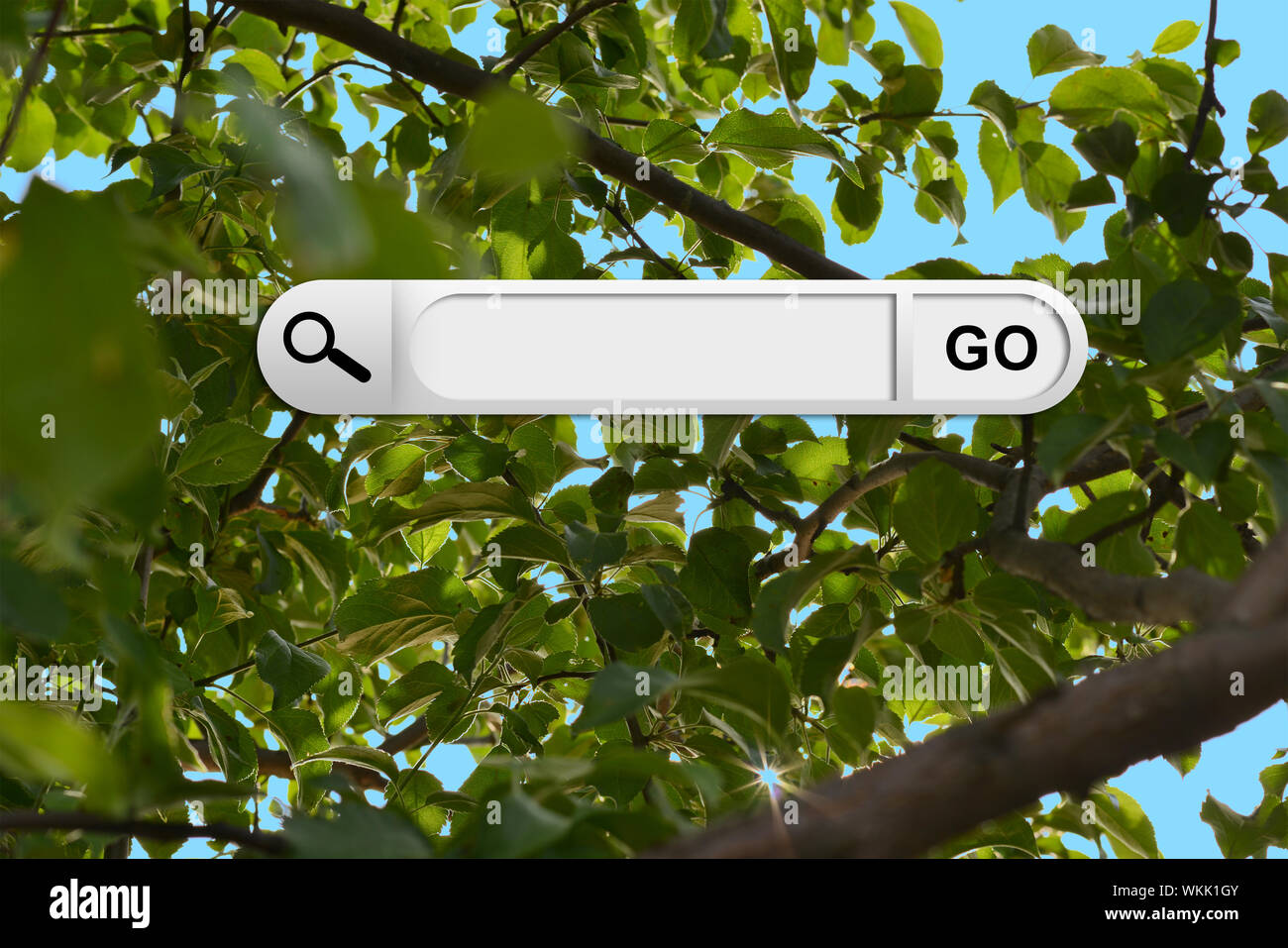 Search bar in browser. Green leaves and brown branches of tree on ...