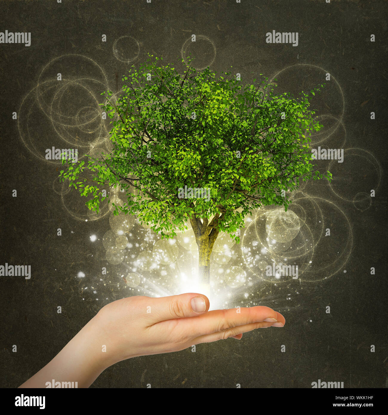 Hand hold magical green tree and rays of light on dark background Stock ...