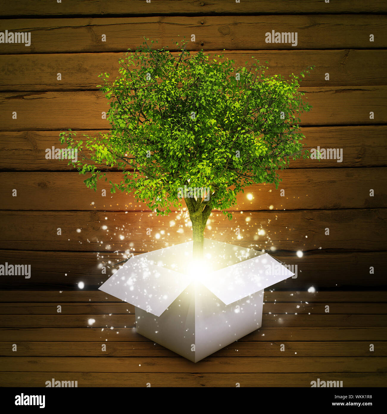 White cardboard box with magical green tree and rays of light on dark ...