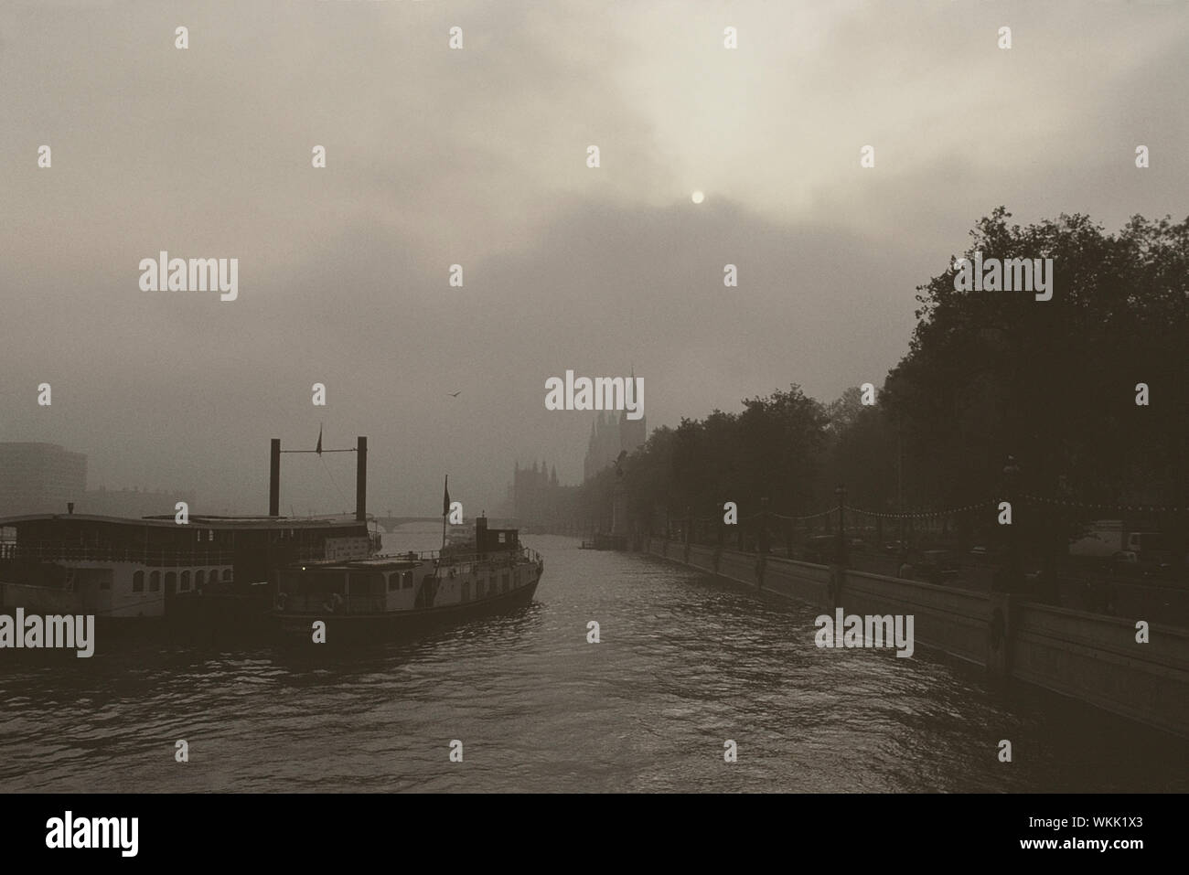 Palace of Westminster / Houses of Parliament in the fog. London ...