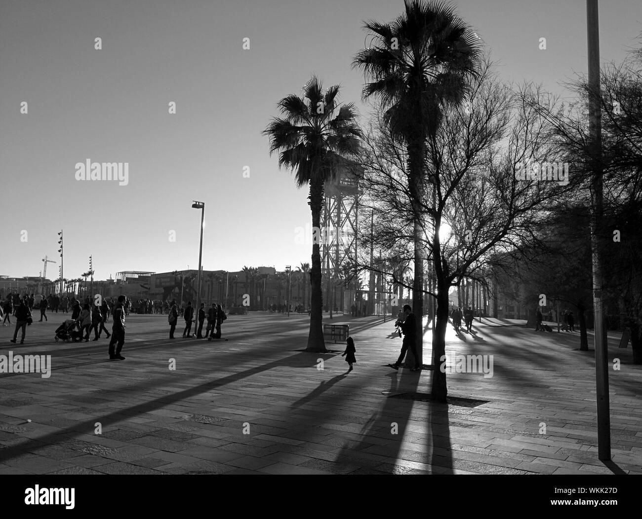 Square with palm trees hi-res stock photography and images - Alamy