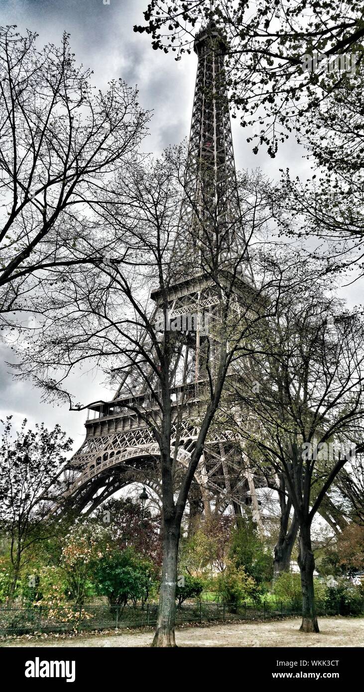 Eiffel tower and trees hi-res stock photography and images - Alamy