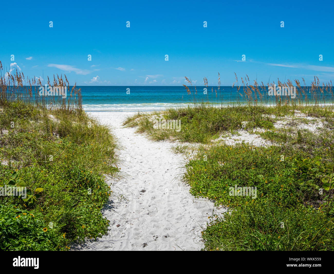 Path to a Gulf of Mexico beach in Bradenton Beach on the west coast of ...