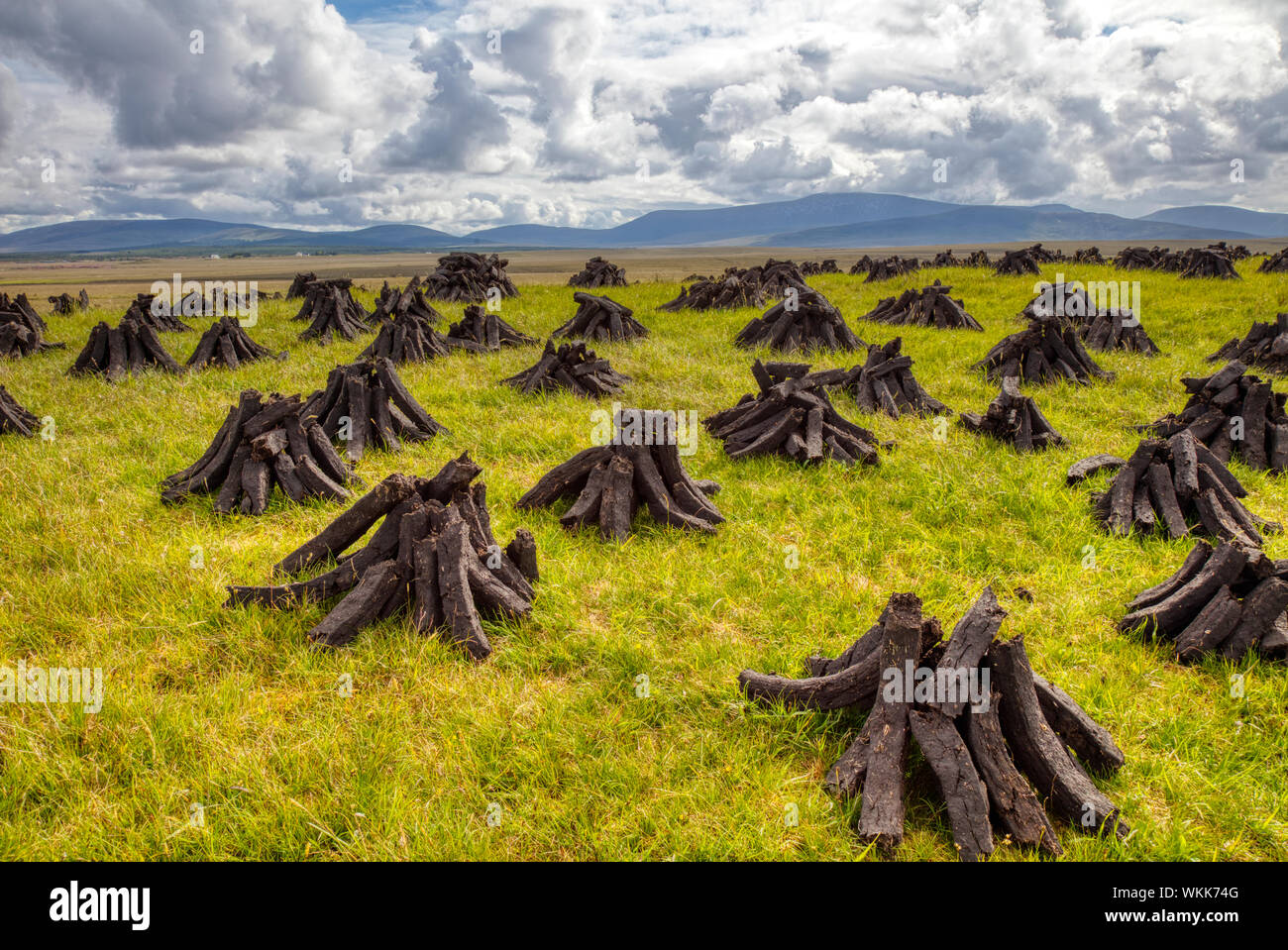 Drying field hi-res stock photography and images - Alamy