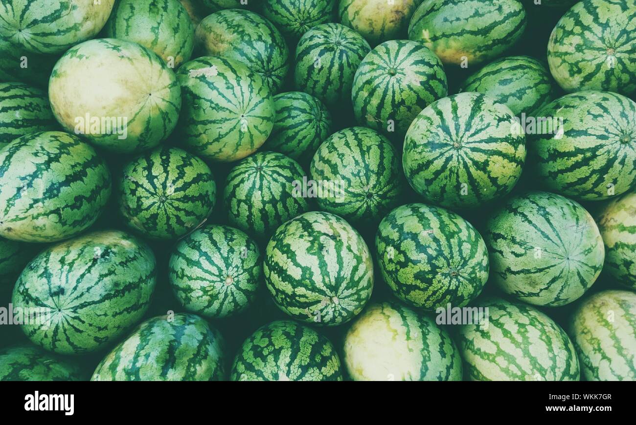 Group Of Watermelons High Resolution Stock Photography and Images - Alamy