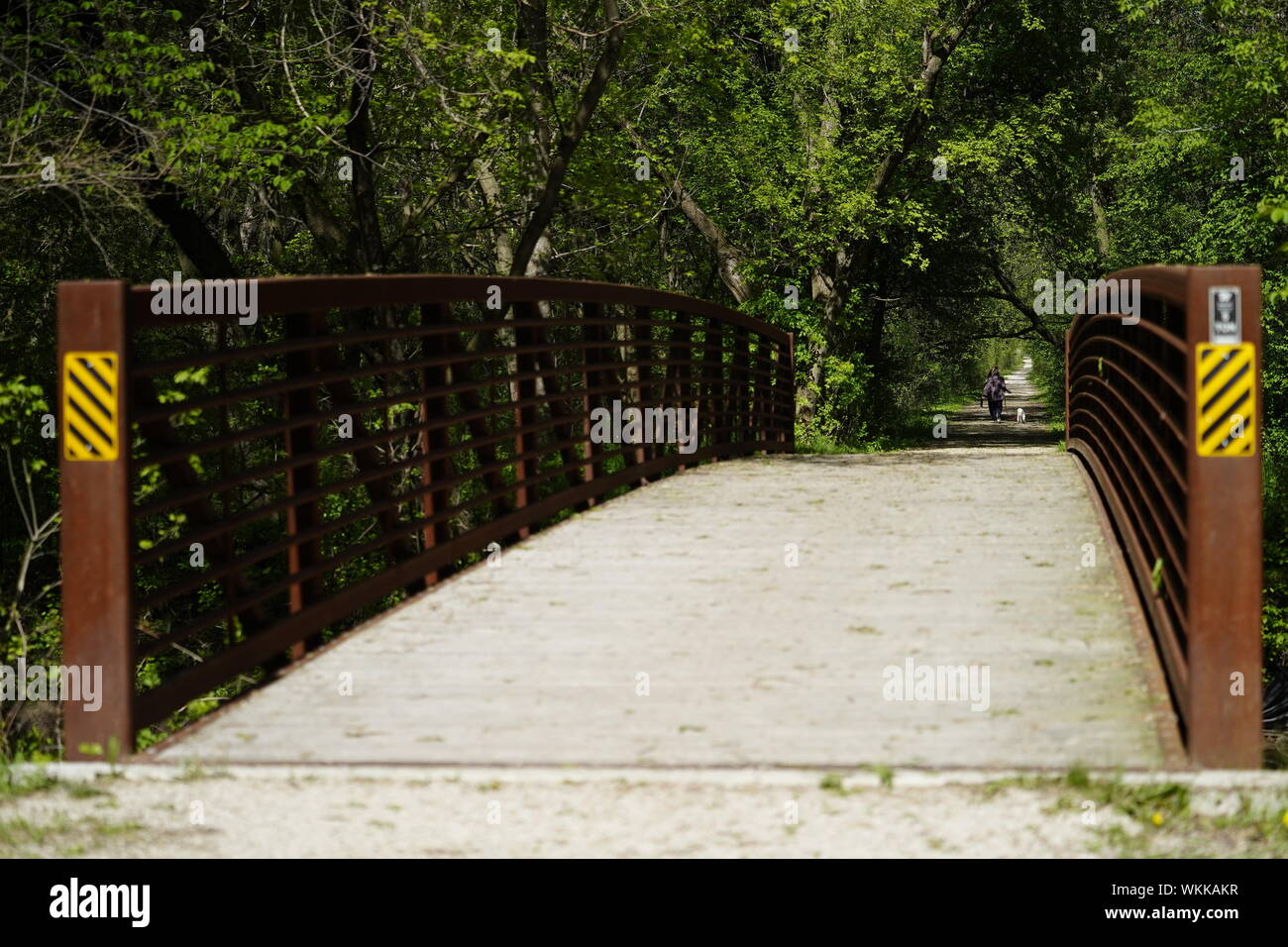 bridge, path, walk, nature, park, wood, travel, water, wooden, green ...