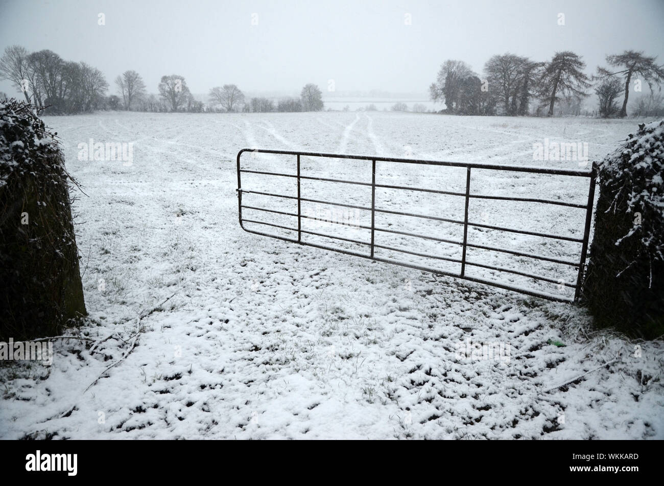 Snow covered gate hi-res stock photography and images - Alamy
