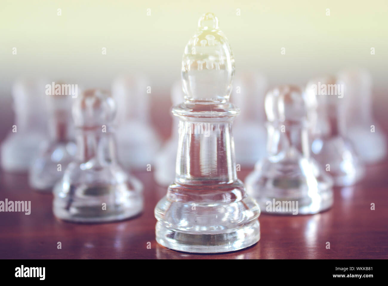 Chess queen in front of other chess pieces. Women leadership and women ...