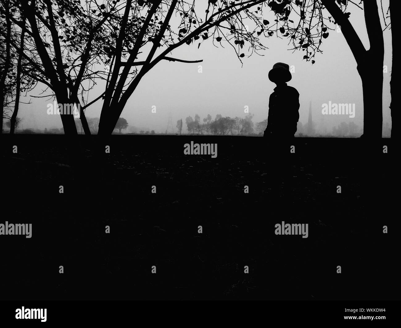 Silhouette Man Wearing Hat Amidst Trees At Dusk Stock Photo - Alamy