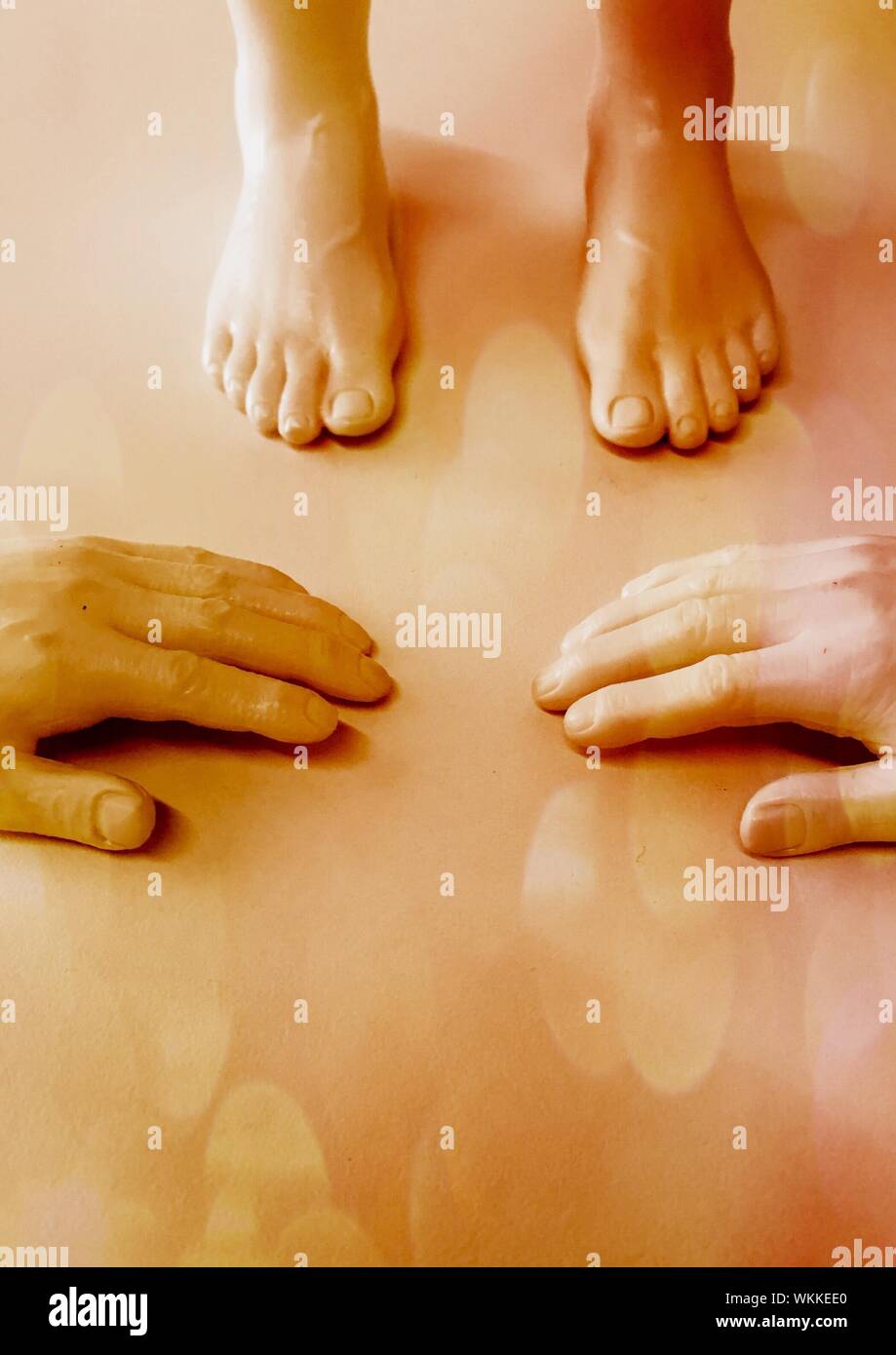 Human body limb hi-res stock photography and images - Alamy