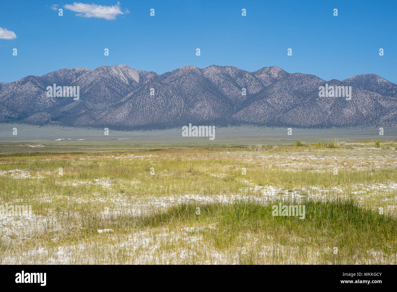 Glass Mountain Ridge, part of the White Mountains in California, in the ...