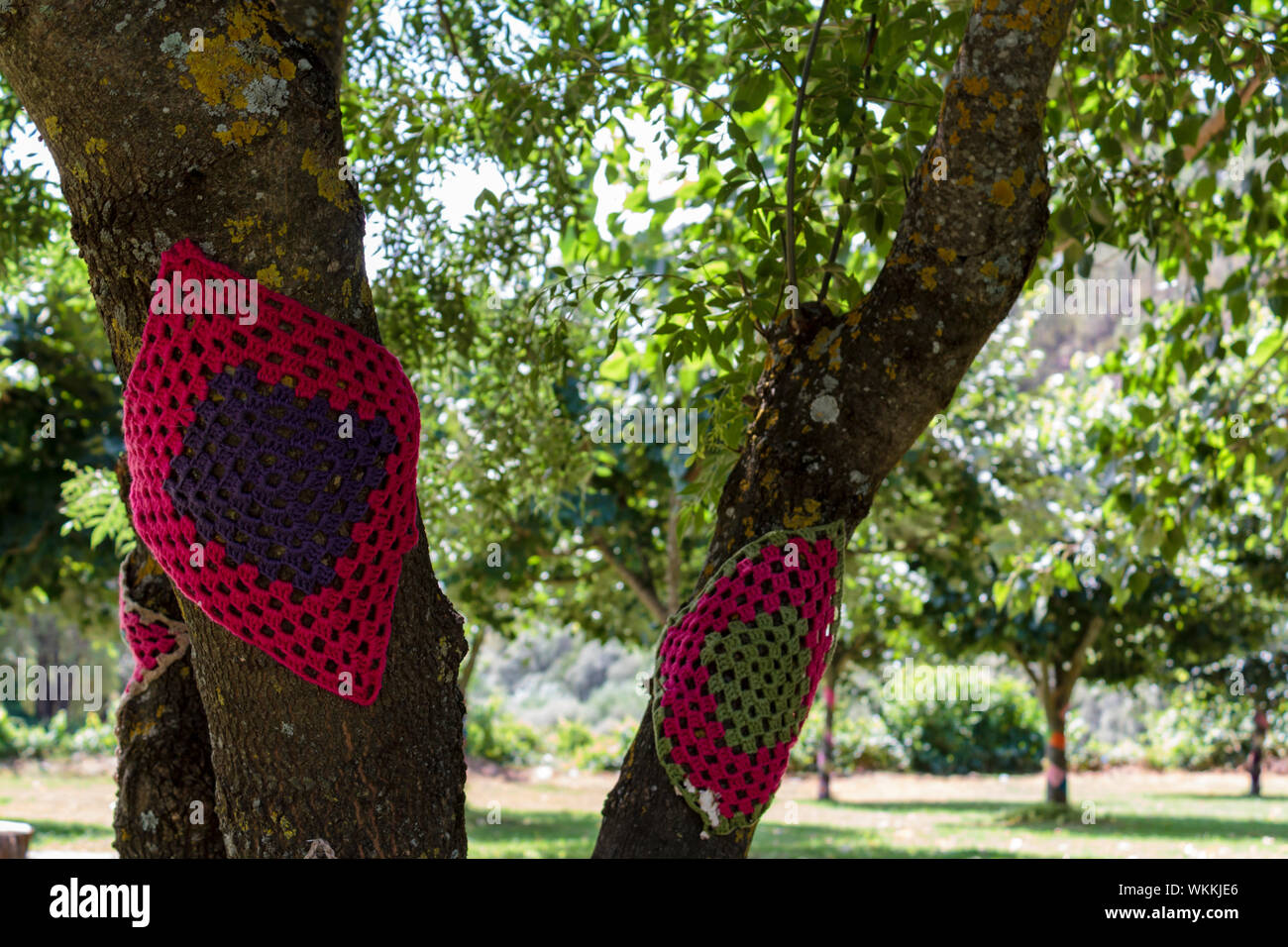 Yarn bomb tree hi-res stock photography and images - Alamy