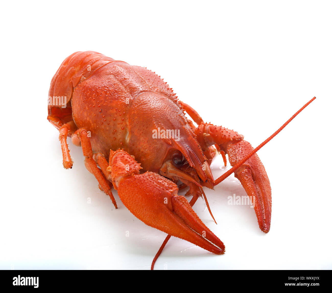 Boiled crawfish hi-res stock photography and images - Alamy