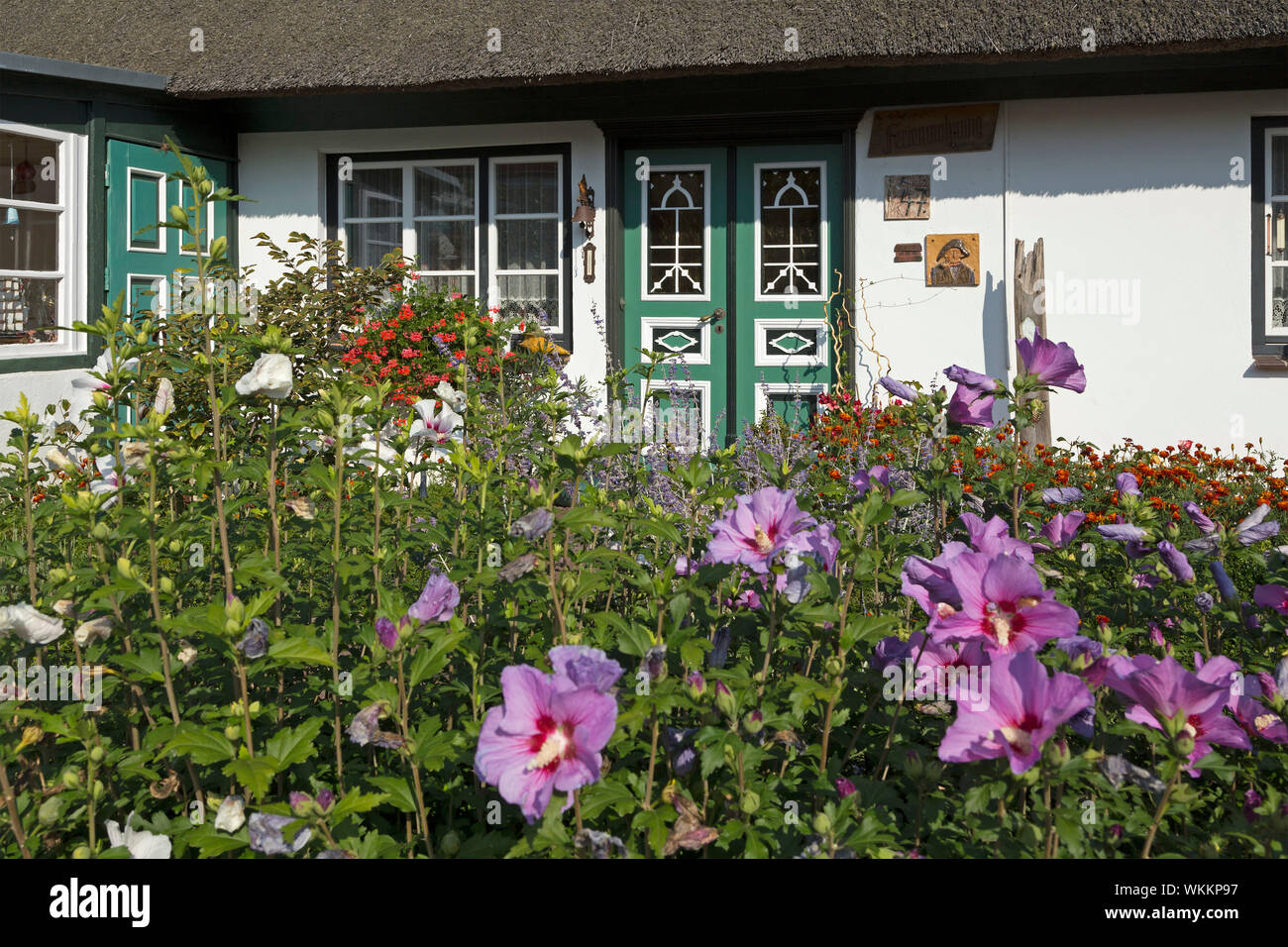 thatched house, Graal-Müritz, Mecklenburg-West Pomerania, Germany Stock ...