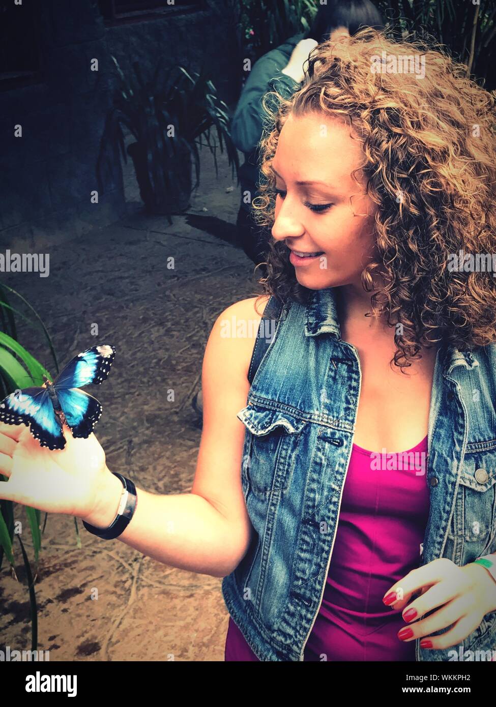 Young butterfly hi-res stock photography and images - Alamy