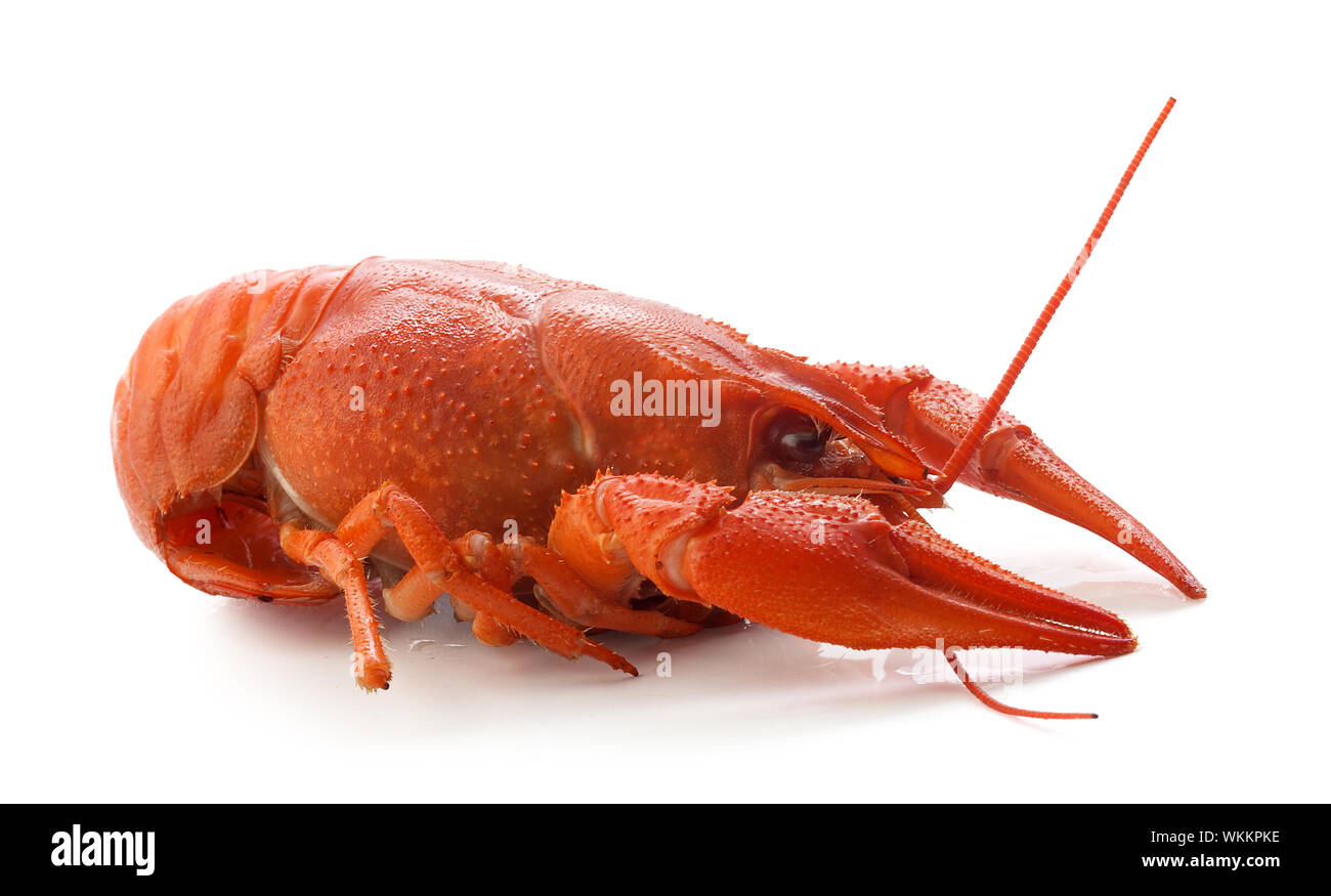 Boiled crawfish hi-res stock photography and images - Alamy