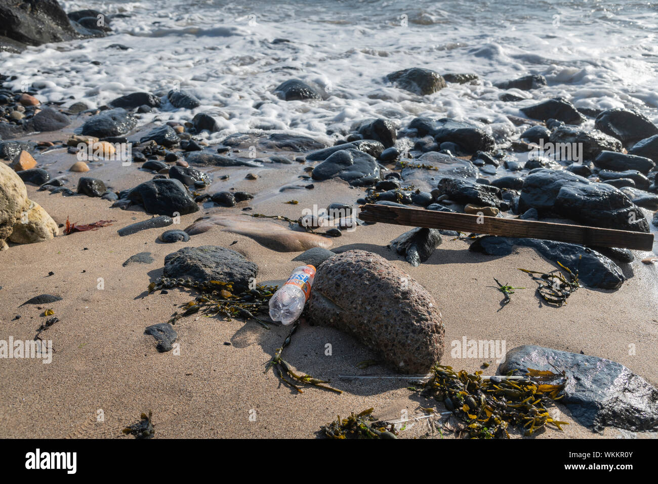 Plastic bottle washed up on a beach Stock Photo - Alamy