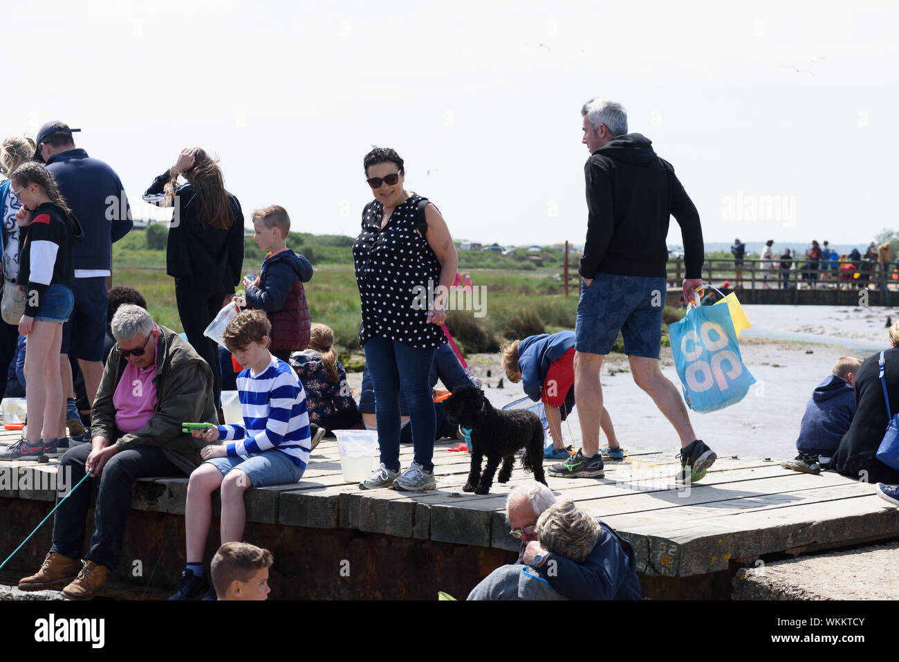 WALBERSWICK, SUFFOLK/ENGLAND - 9TH JUNE 2019 - People crabbing for fun ...