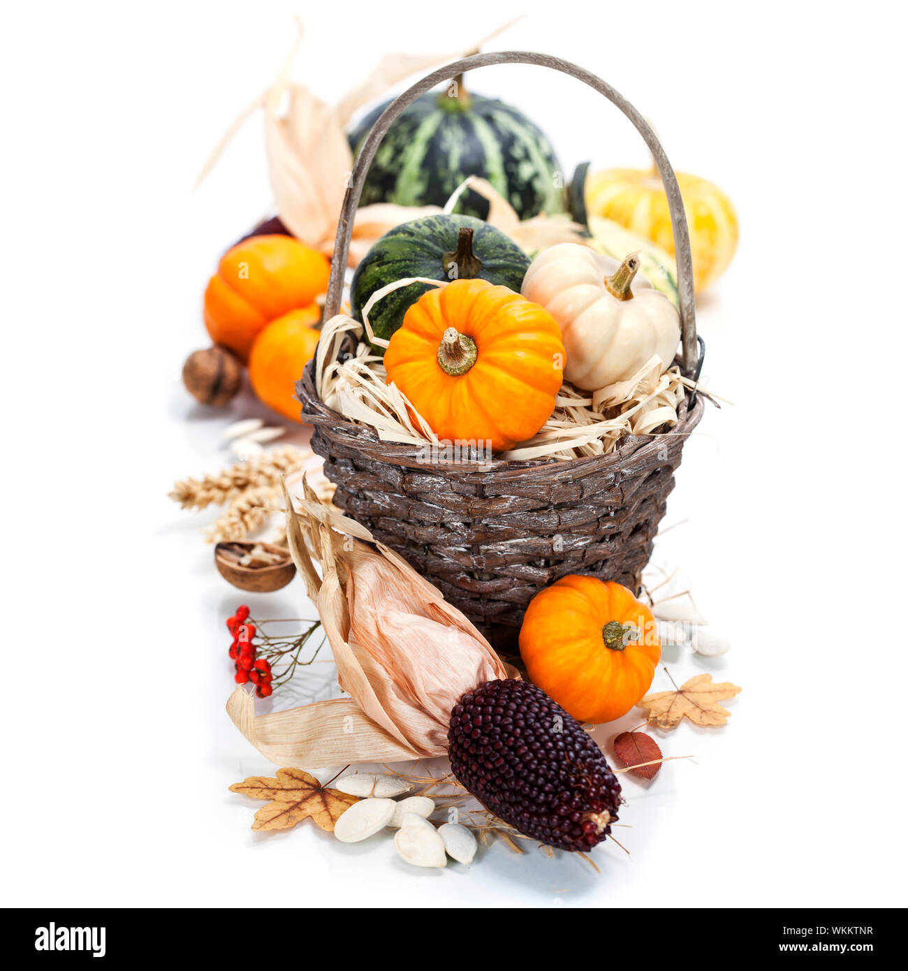 Vertical composition copy space Cut Out Stock Images & Pictures - Alamy