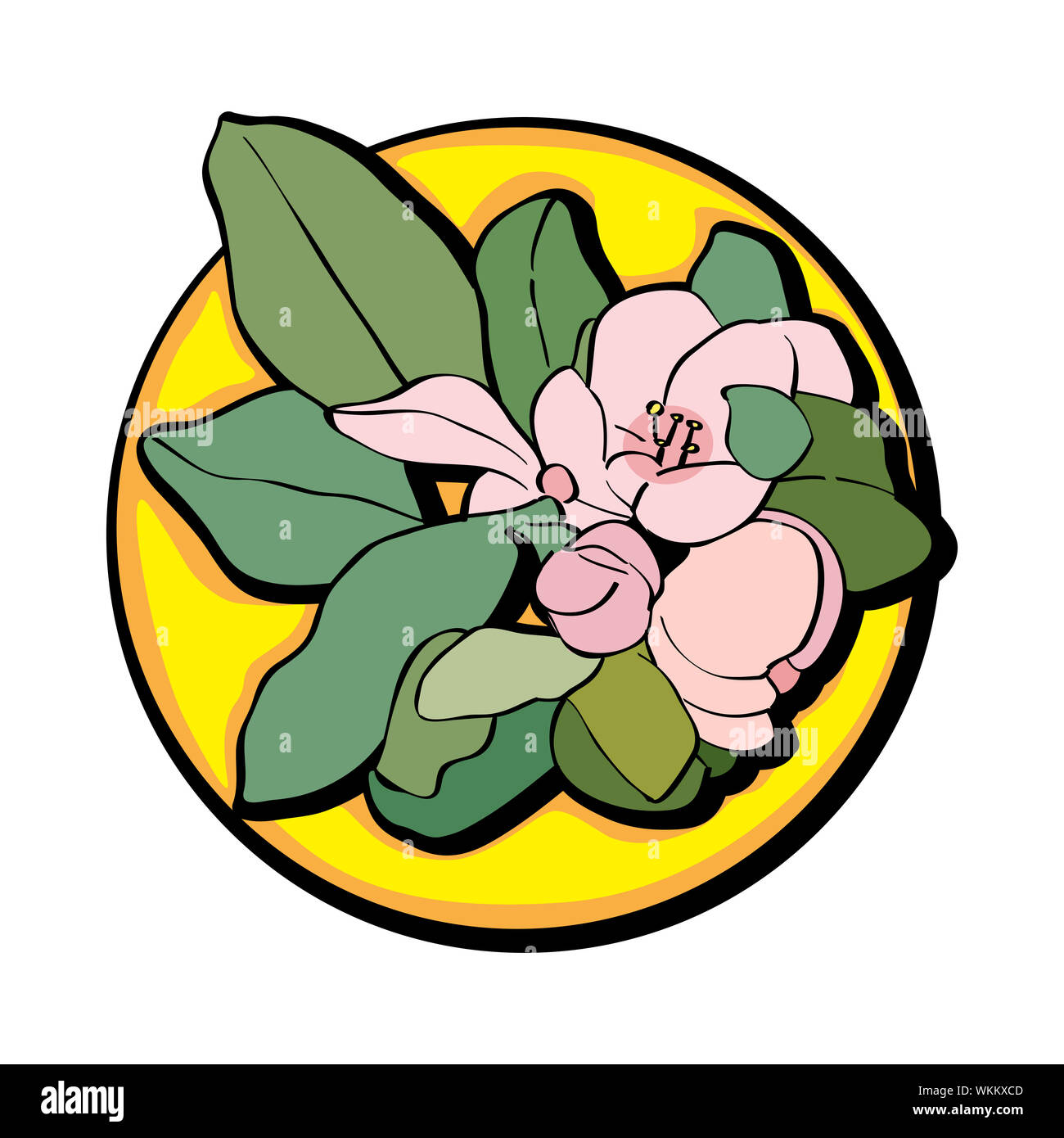 Apple tree flower clip art isolated on white Stock Photo - Alamy